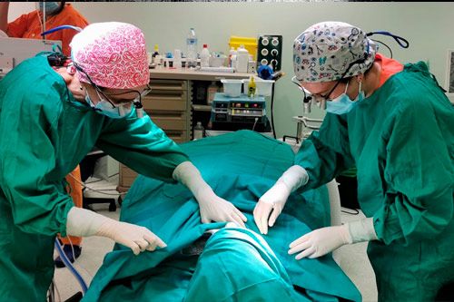 Medicina oftalmológica y estética facial